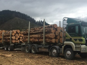 Welcome to Aztec Forestry Transport Developments