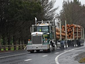 Welcome to Aztec Forestry Transport Developments
