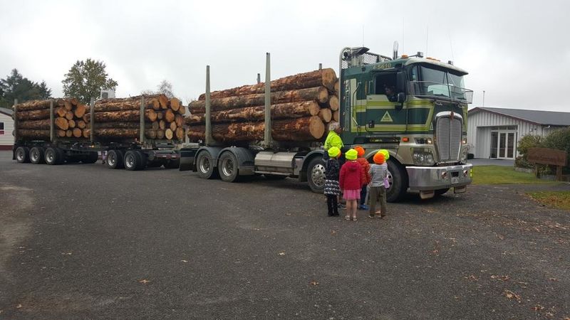 Kids Embrace 'Share the Roads' Logging Campaign | Aztec Forestry ...